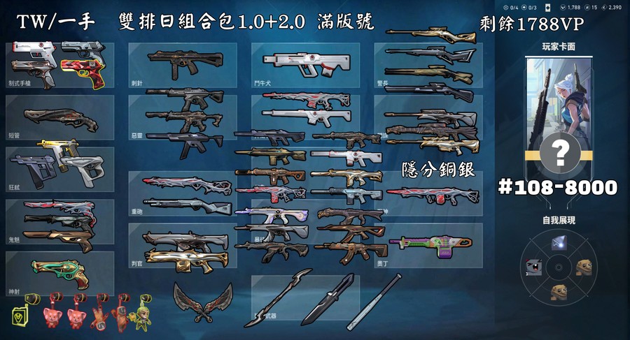 特戰英豪 VALORANT-台灣8591寶物交易網