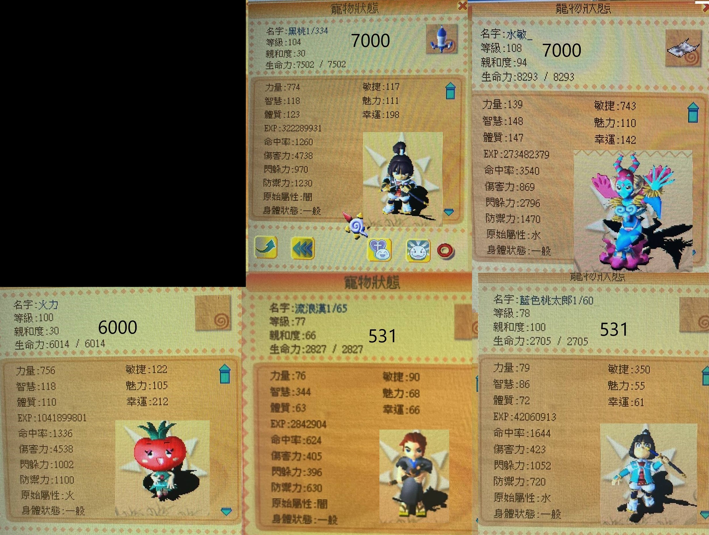 寵物出清-8591寶物交易